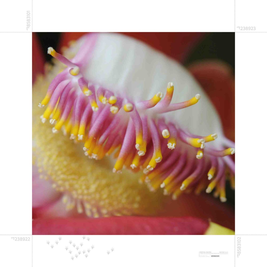 Exposition carbon 12 | Dr Pétrole & Mr Carbone