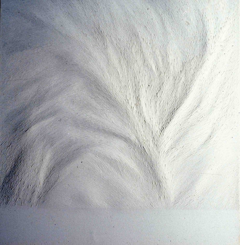 Exposition carbon 12 | Dr Pétrole & Mr Carbone