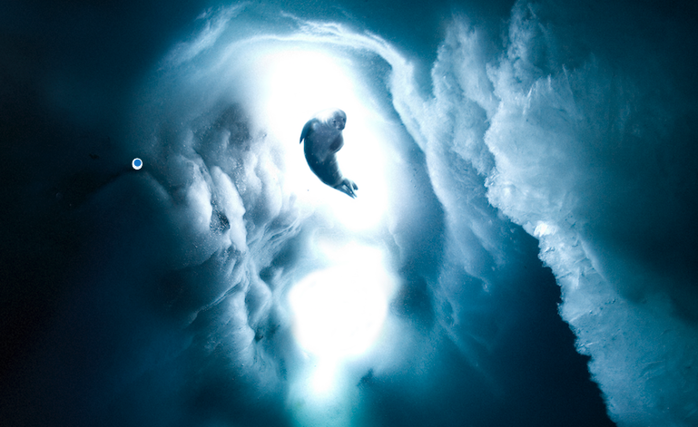 420 ppm de CO2… En route pour l’Eocène ! | Dr Pétrole & Mr Carbone